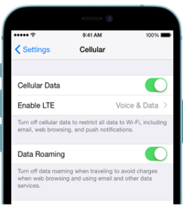 International Roaming - MPT