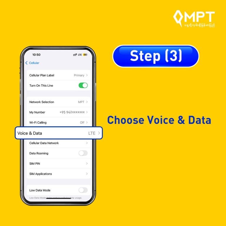 International Roaming - MPT